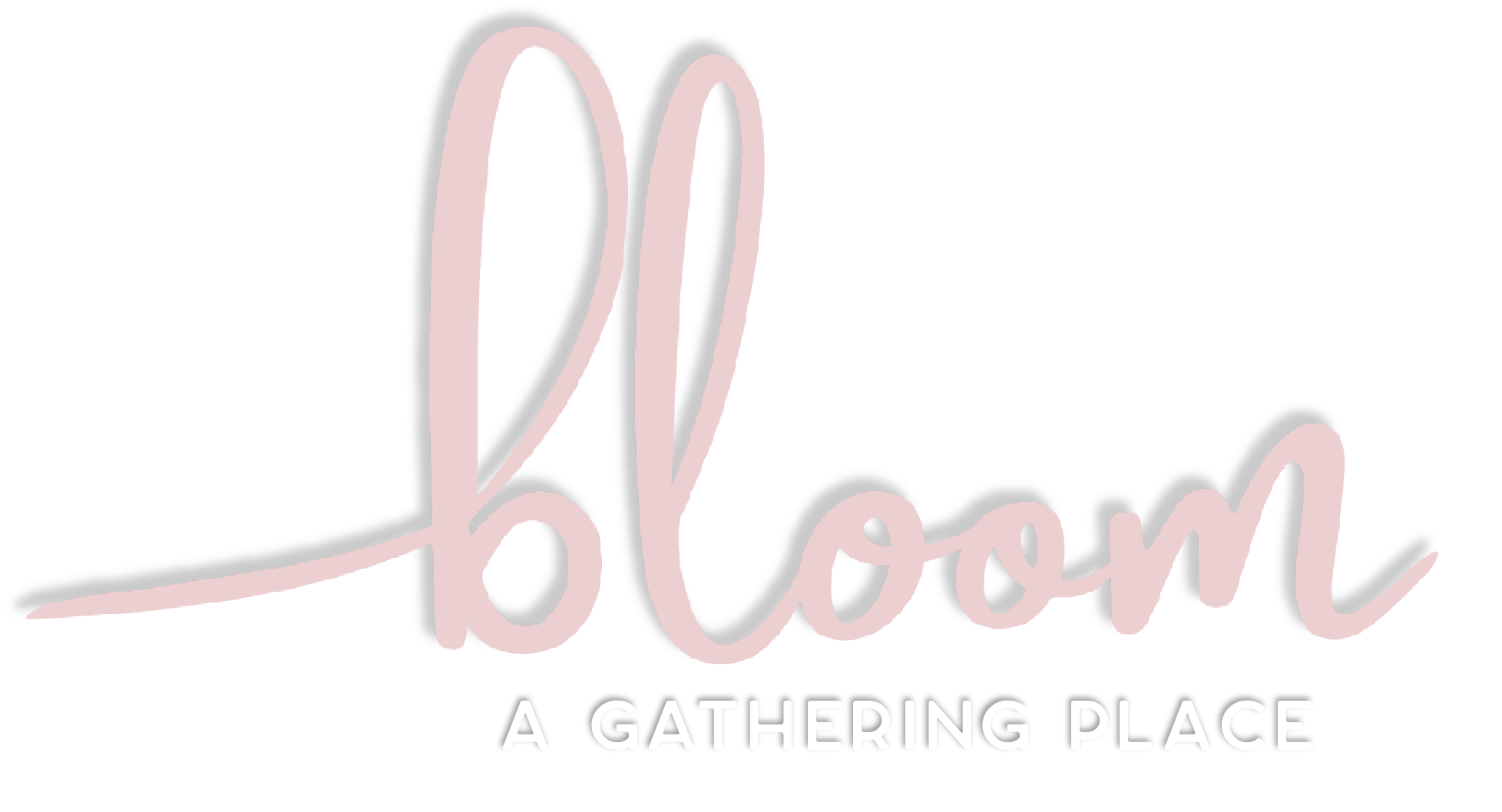 bloom — Bean & Bottle