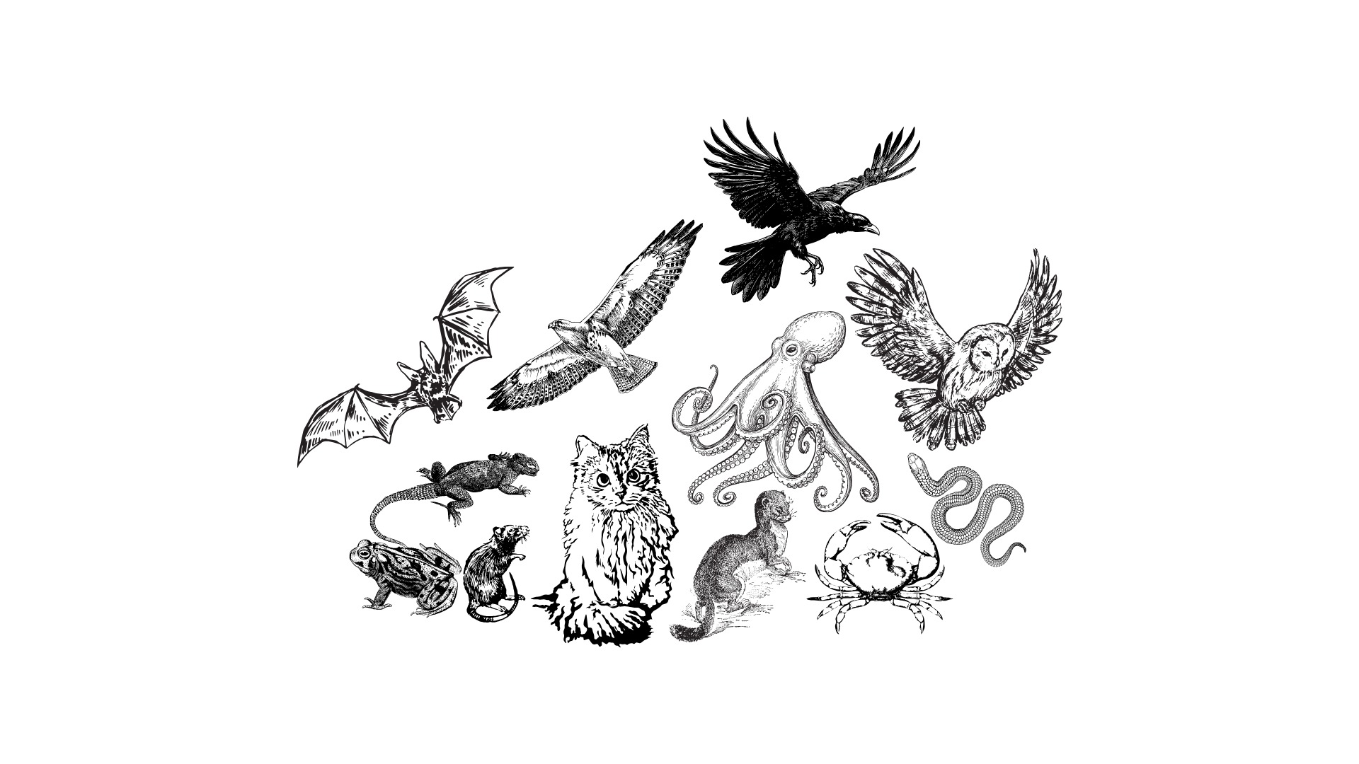 Con Information — Ann's Adventures - Professional Game Masters