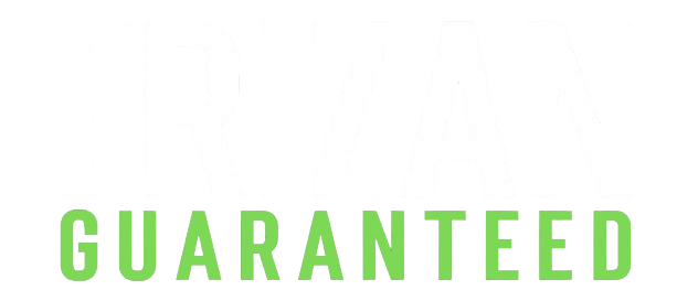 TRIZAN: Your Partner for Business Growth