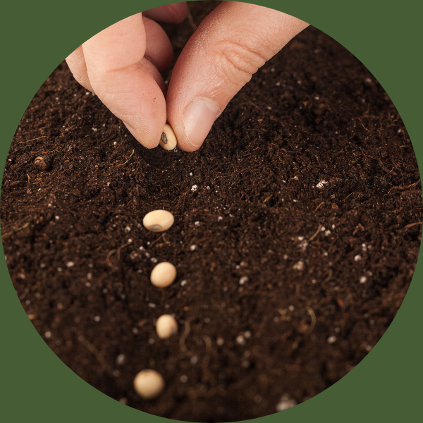 Blog 1 — Allison Bishop