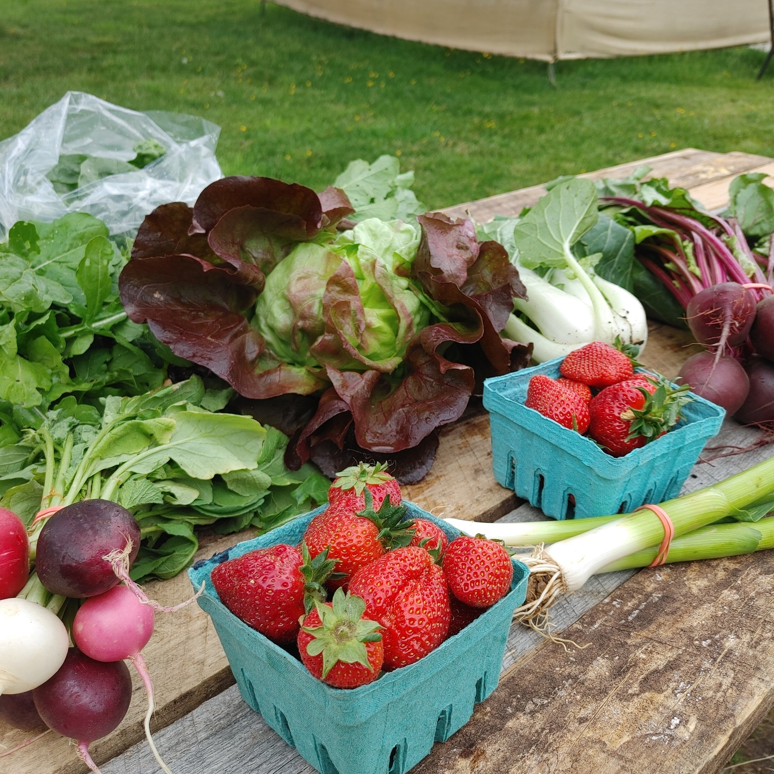 The Produce Peddler | Fresh Seasonal Produce | Newark, DE
