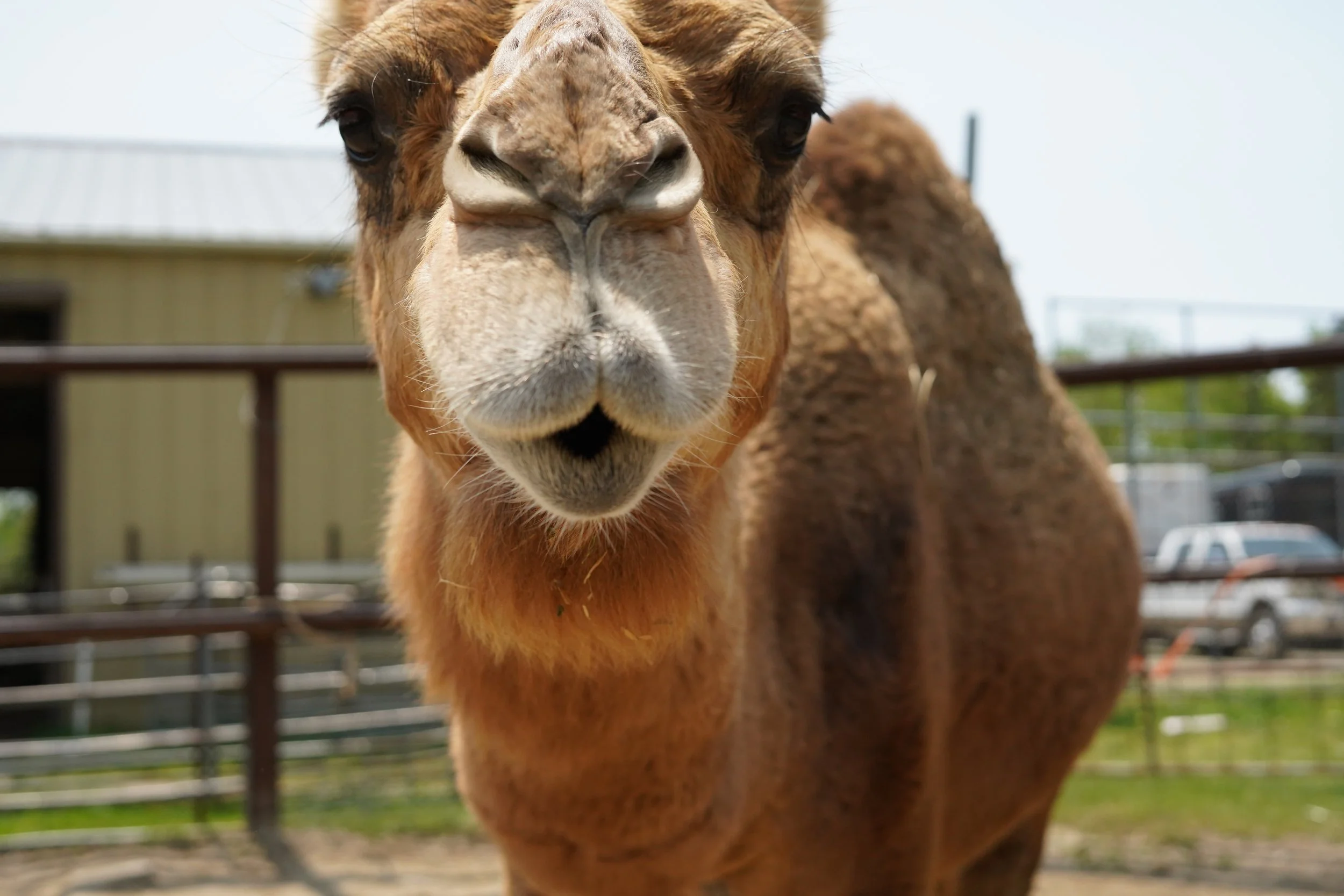 Services — Rigden Ranch