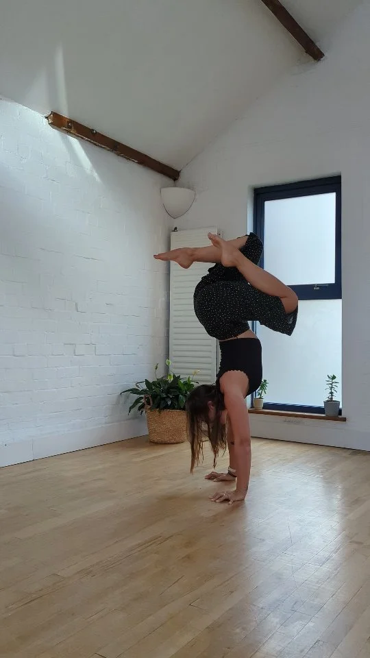 The True Meaning of Asana. — Katie Oriel Yoga