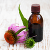 Paediatric & Women's Naturopath Sydney | Botanic Artisan
