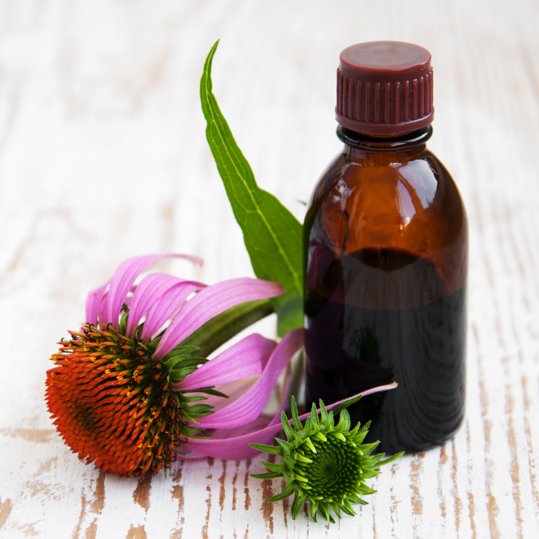 Paediatric & Women's Naturopath Sydney | Botanic Artisan