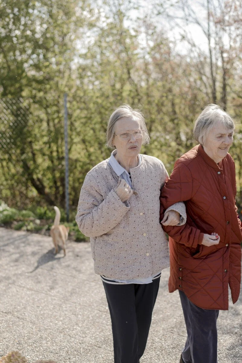 Haven — Dagmarsminde