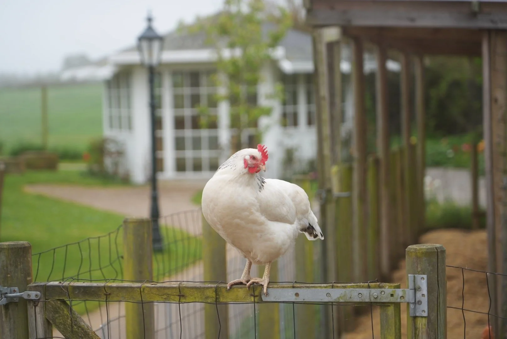 Haven — Dagmarsminde