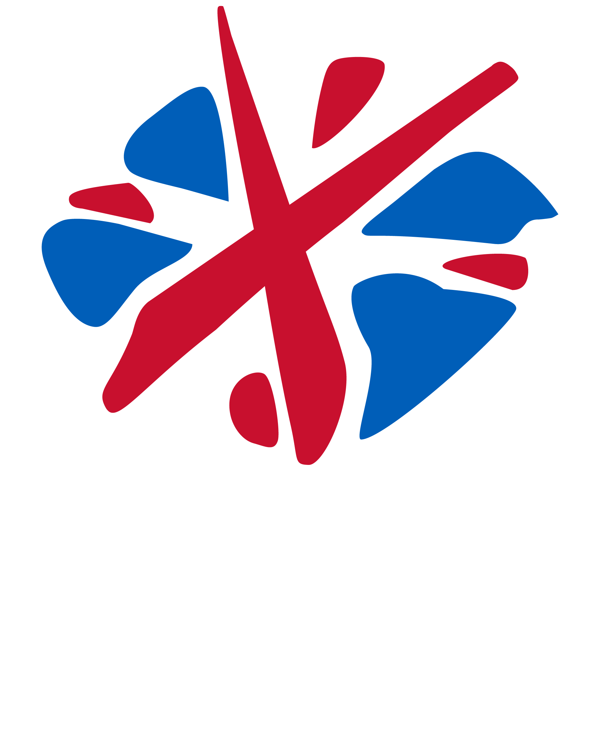 UK Aufguss Championships — British Sauna Society