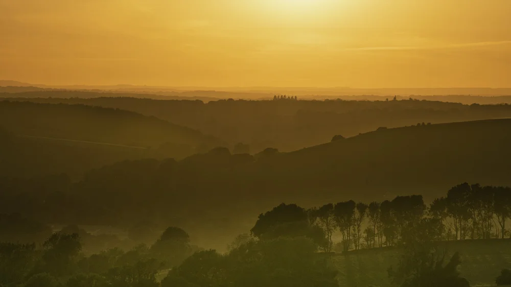 Catalog — Kevin Gosney Photography