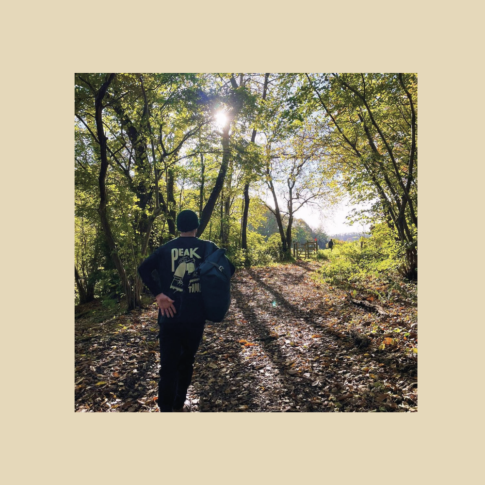 MESH Brand Identity — Rosie Foden Portfolio