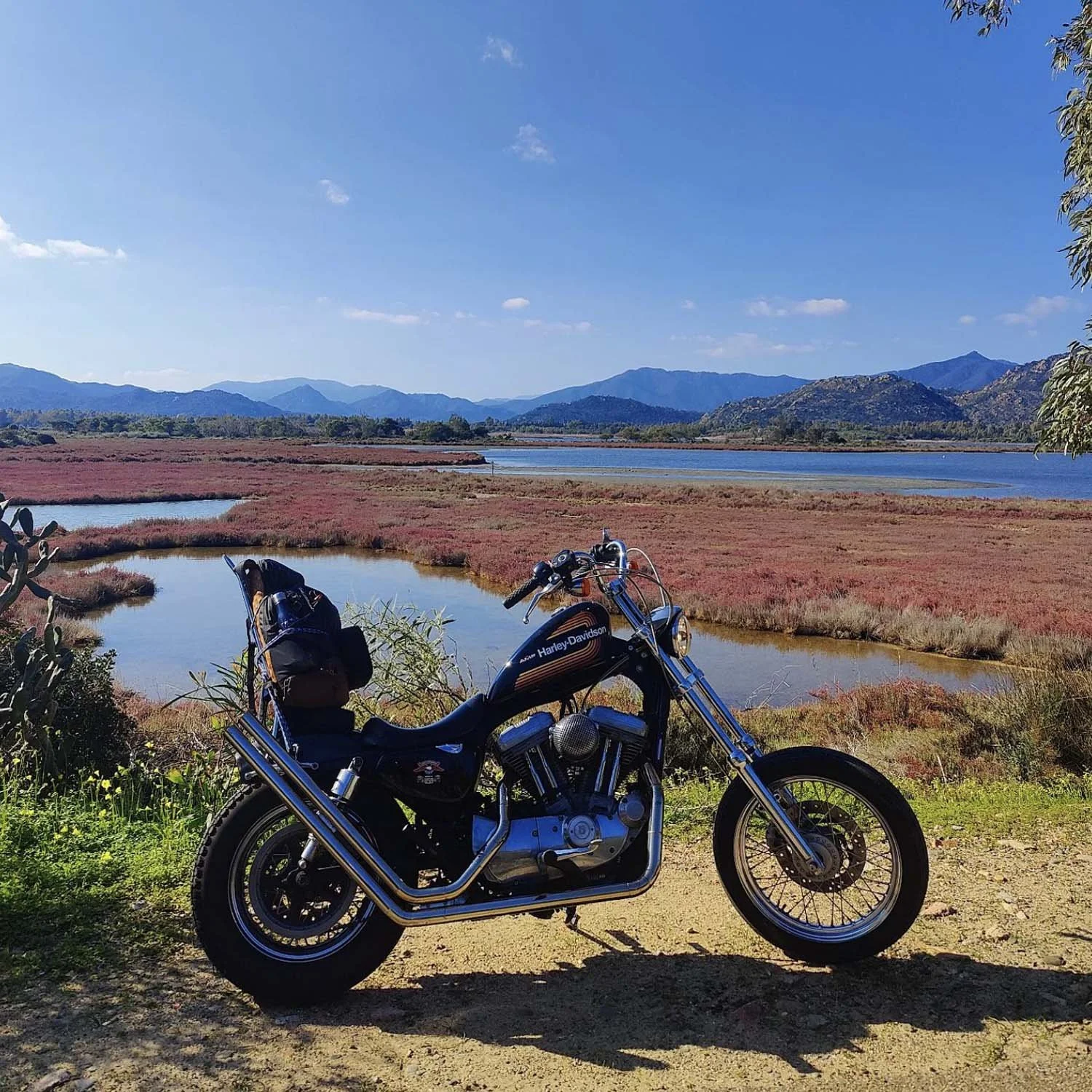 Step by step: drawing a couple of t-shirts graphics in a lowbrow kustom ...