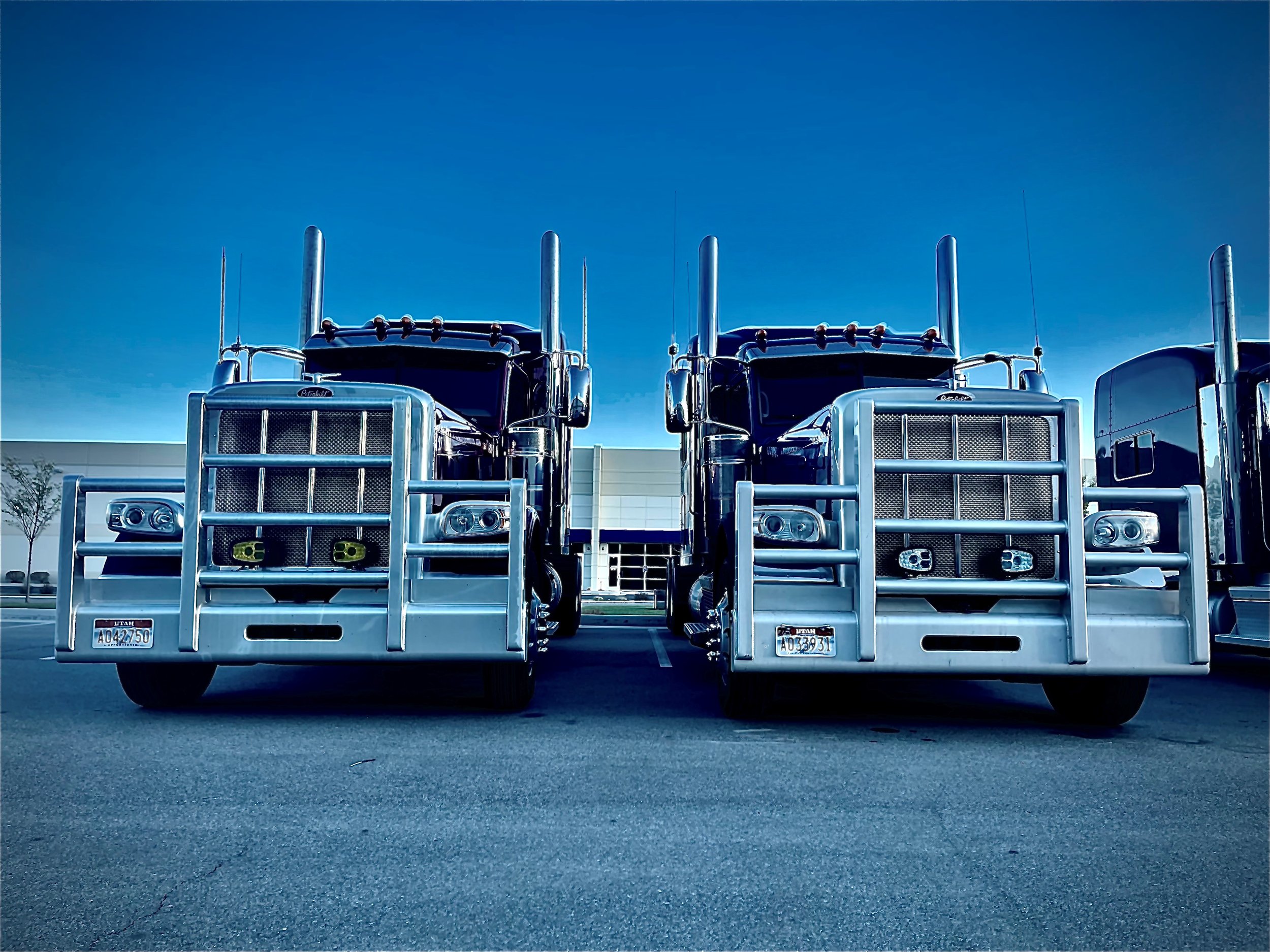 Western Cargo Services