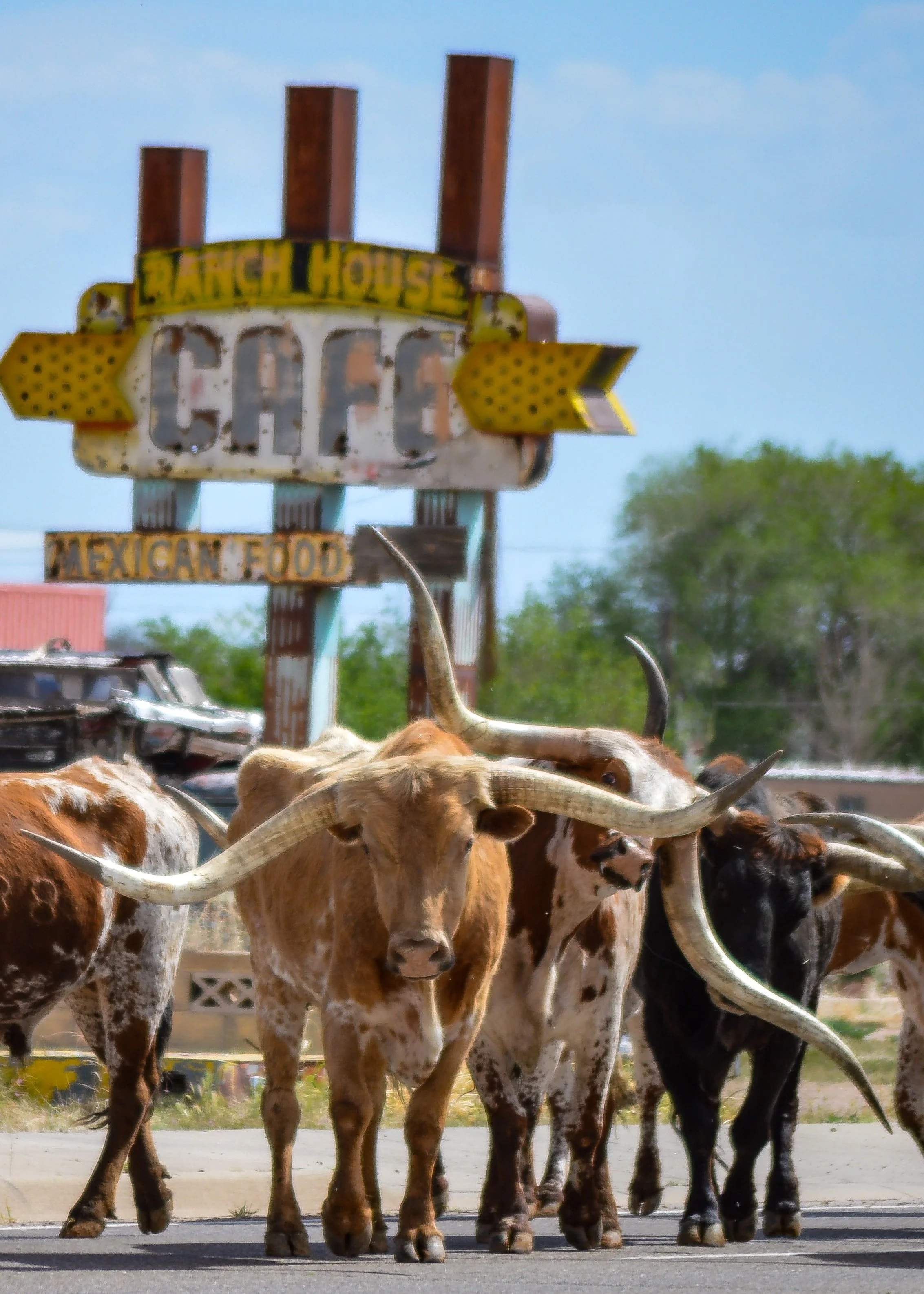 What's Happening — Visit Tucumcari