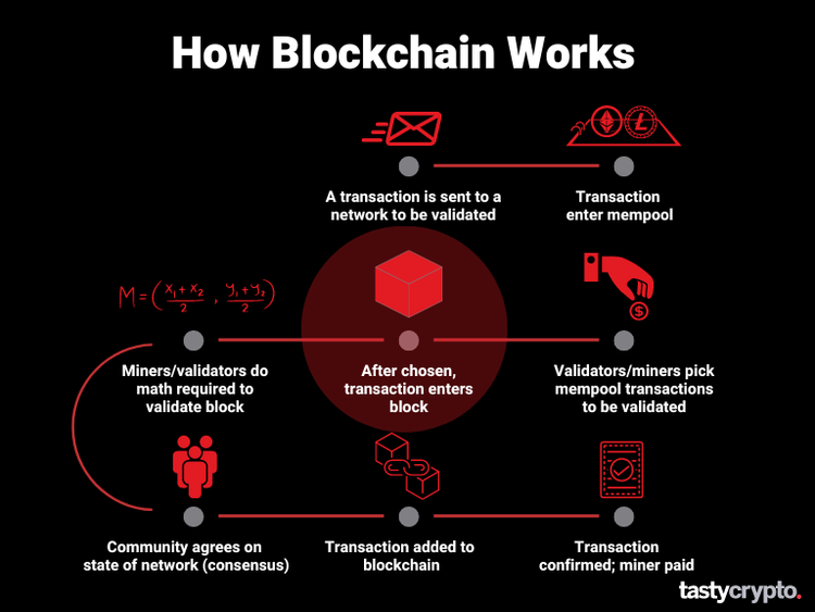 Crypto Glossary: Terms and Definitions for Beginners - tastycrypto