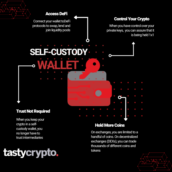 Crypto Glossary: Terms and Definitions for Beginners - tastycrypto
