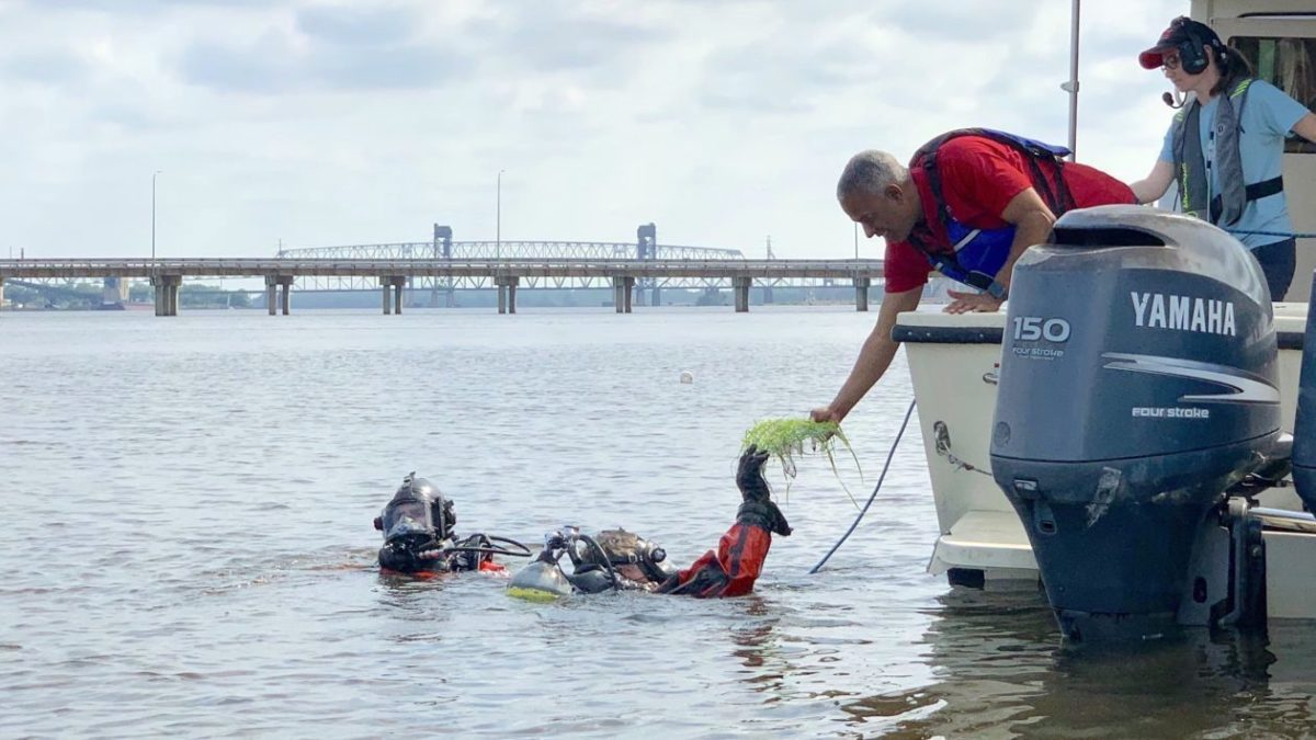 In The News — Upstream Alliance