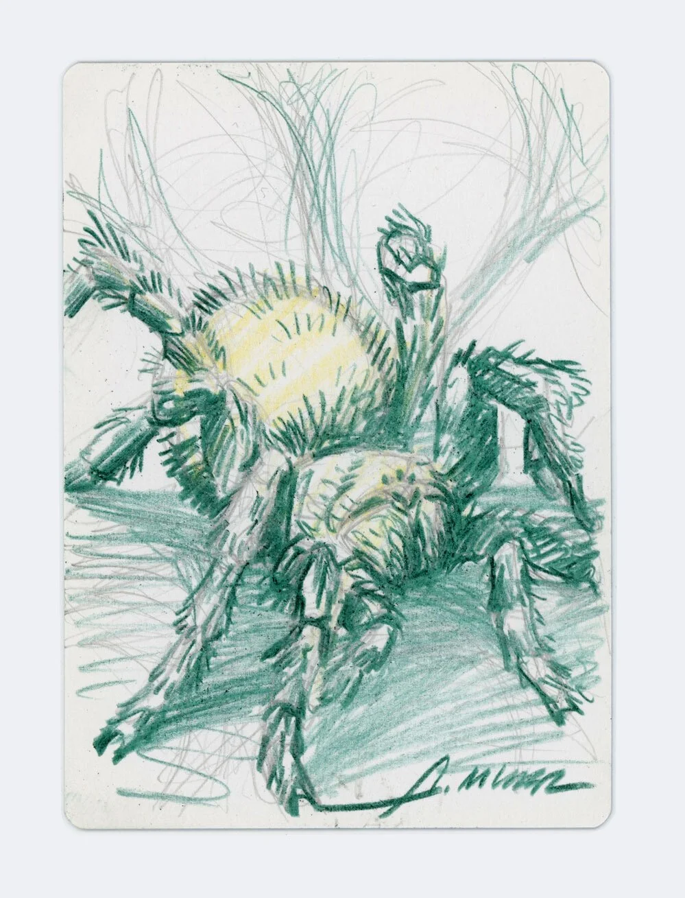 ADD A SKETCH! — Aaron Miller Illustration