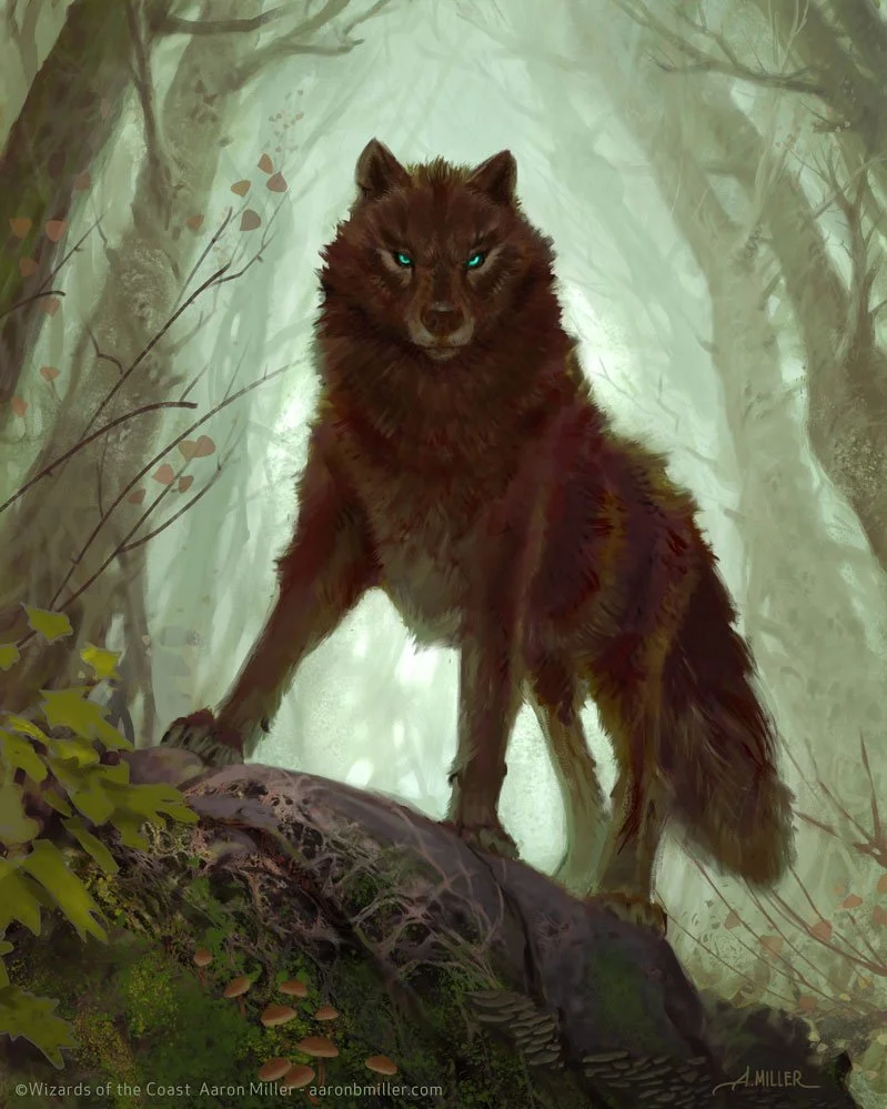 Wolf Token — Aaron Miller Illustration