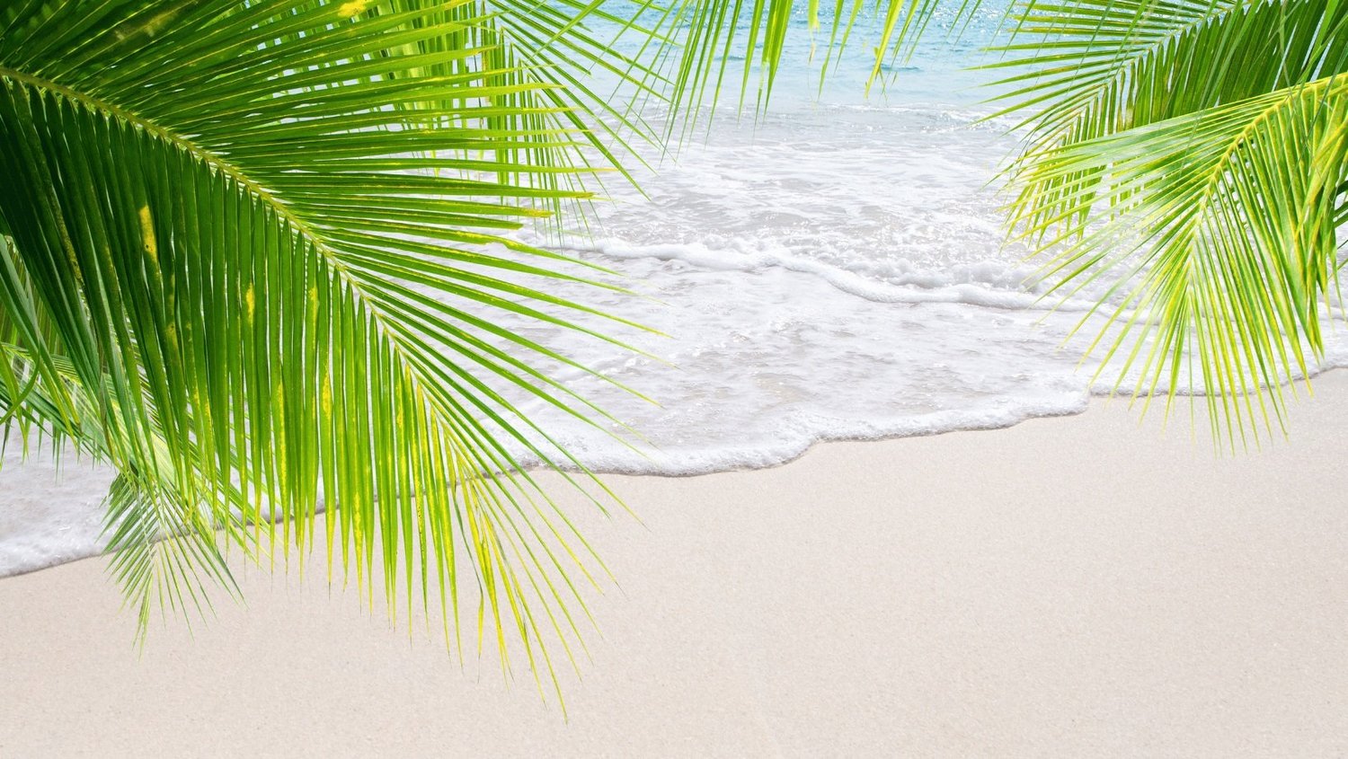 Summer Hair Guide — Sarah Rosenow Salon - Bellevue, WA