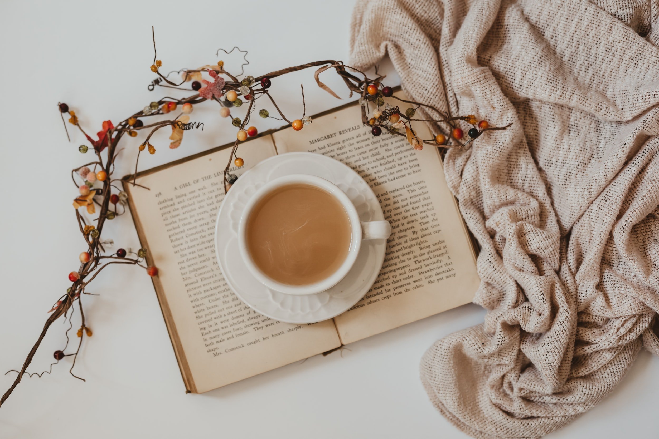 The Firelight Online Book Study — firelight