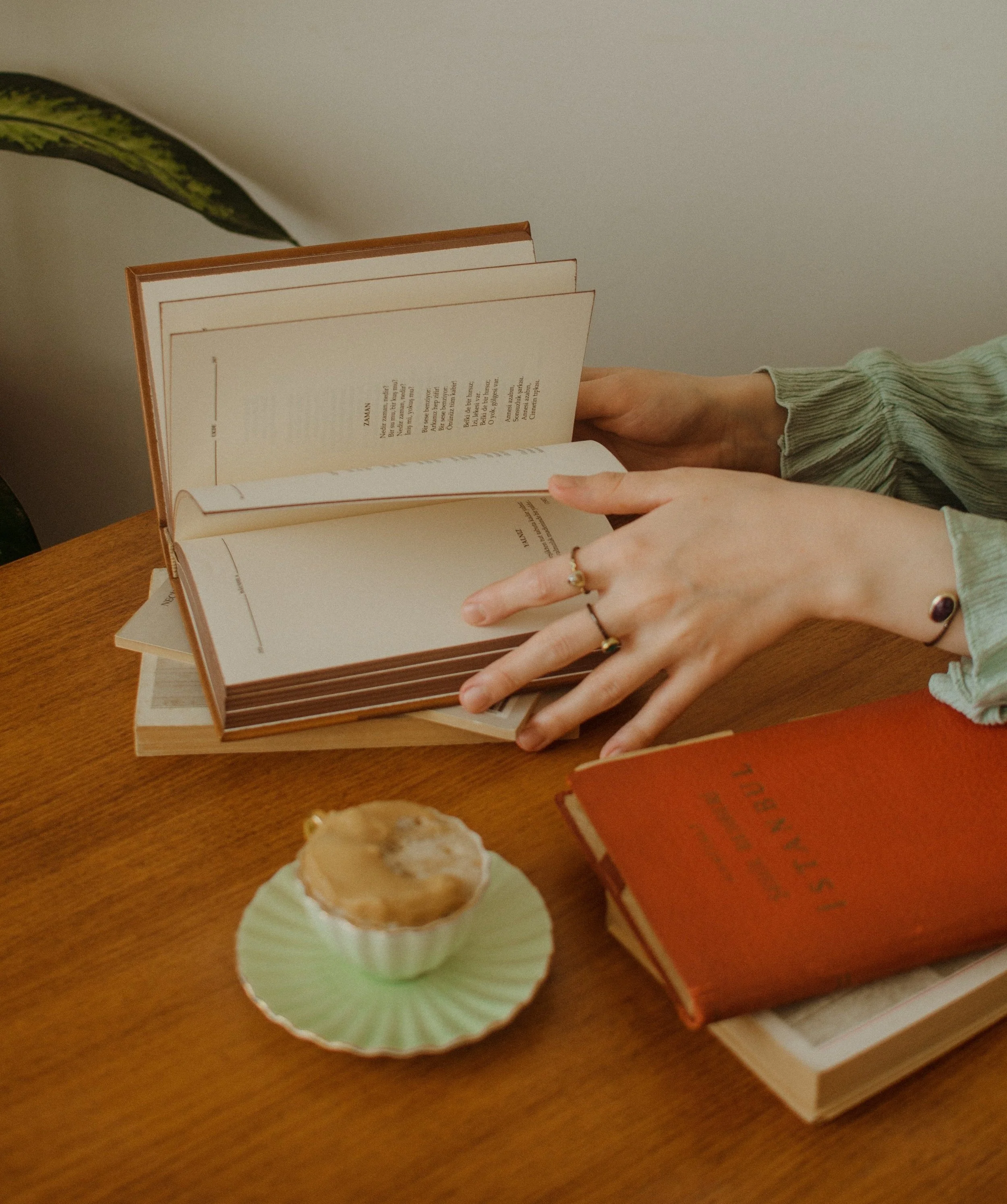 The Firelight Online Book Study — firelight