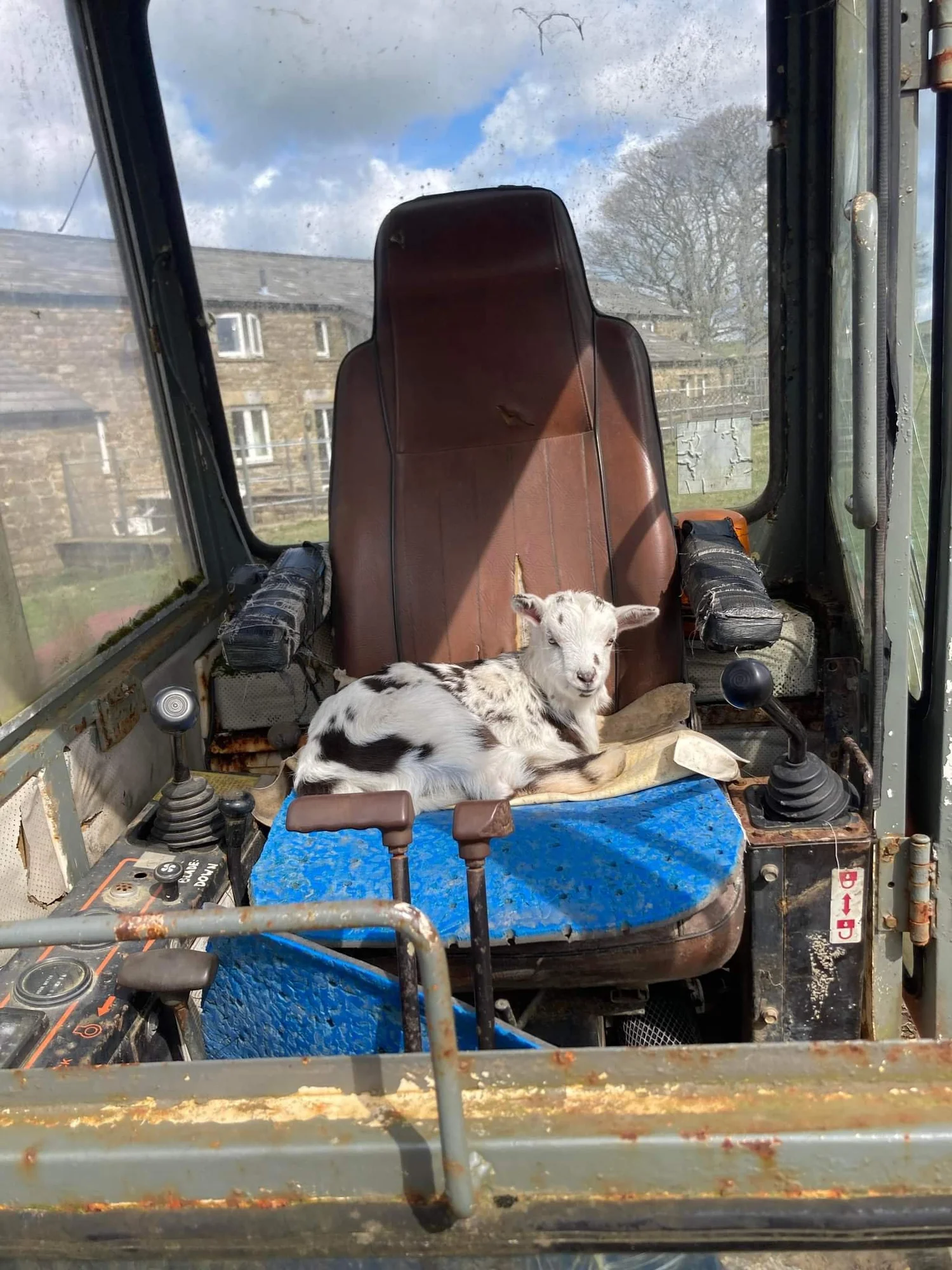 Lancashire Lamb Boxes Gallery — Lancashire Lamb Boxes