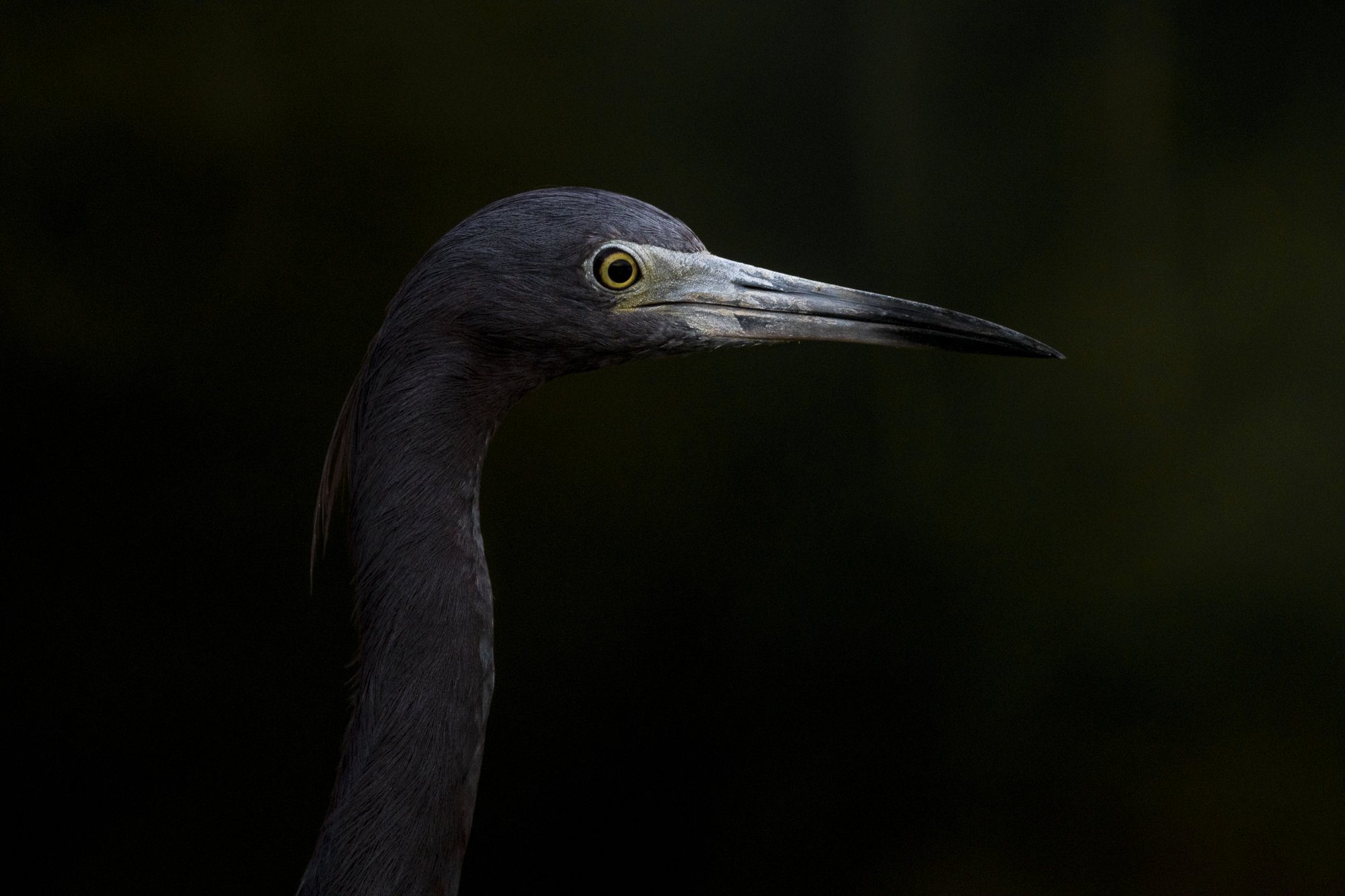 Brand Editorial — Tylander Photography