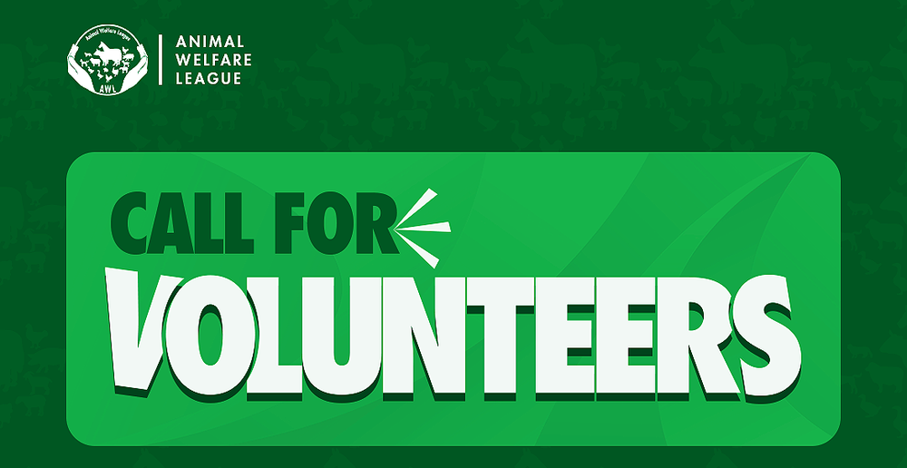 CALL FOR VOLUNTEERS — Animal Welfare League