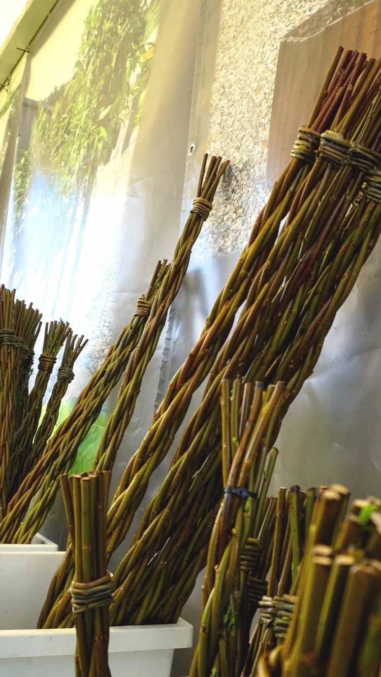 The Woven Willow