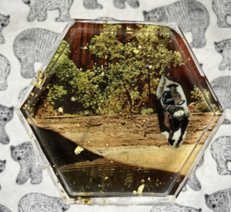 Shop — Midwest Nice Art