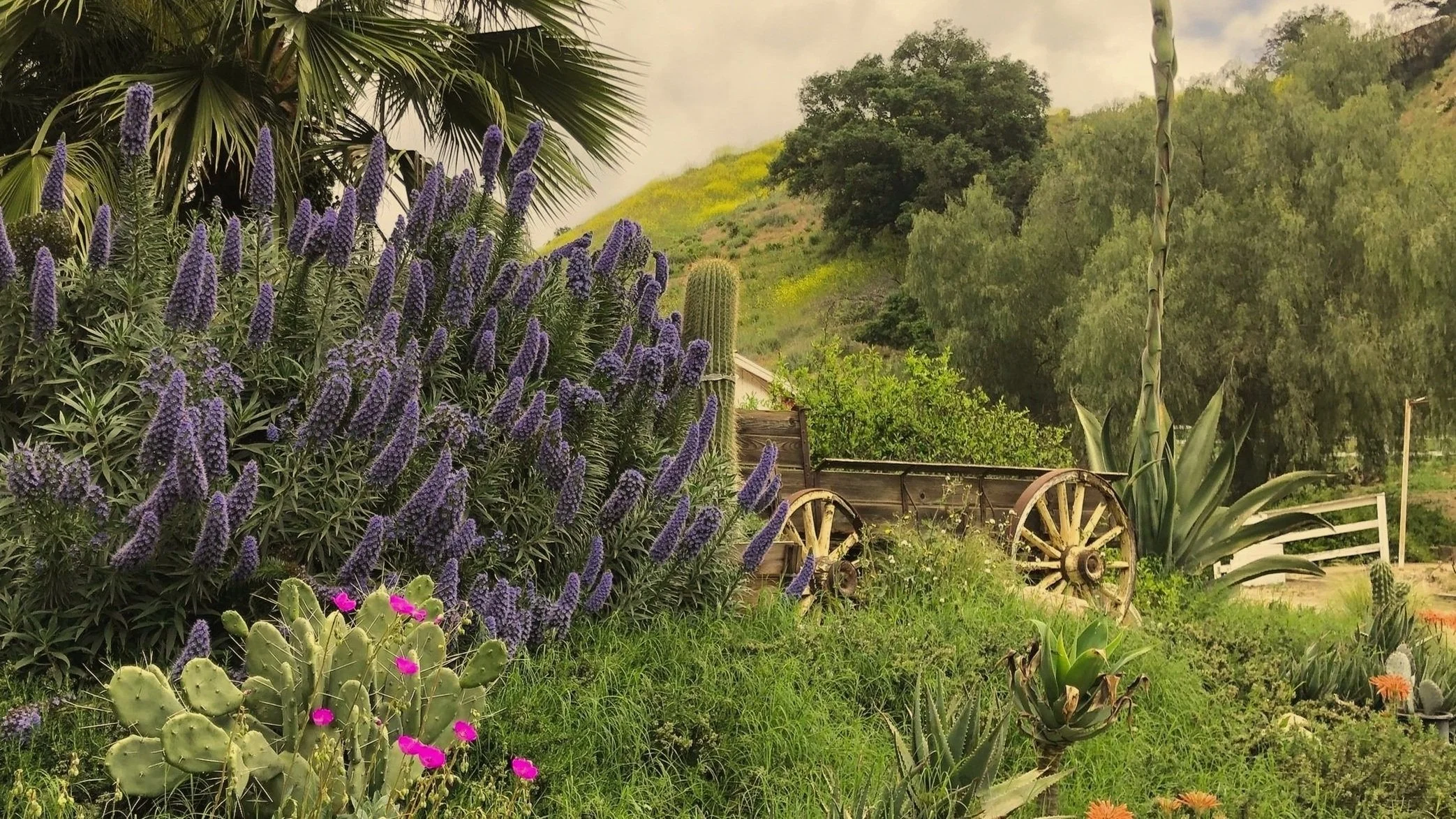 Willow Creek Ranch