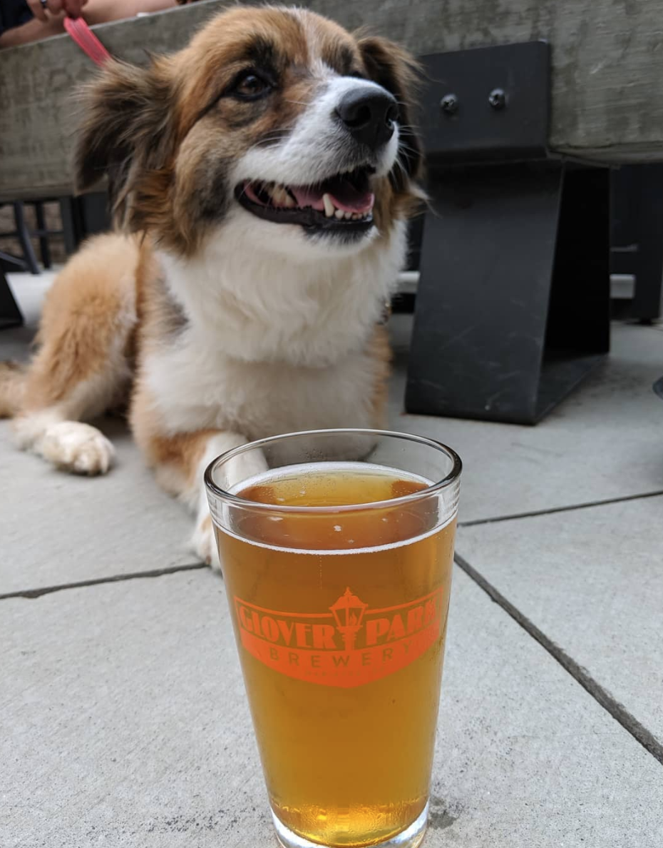 FAQs 1 — Glover Park Brewery