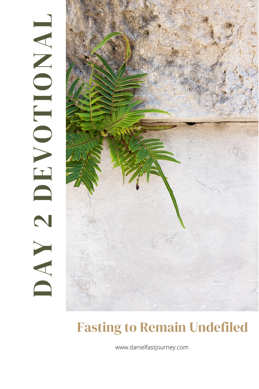 Day 2 Devotional: Fasting to Remain Undefiled — Daniel Fast Journey