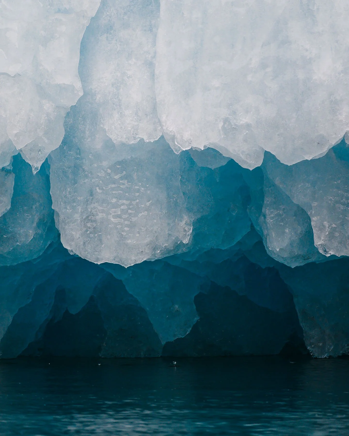 The Arctic Explorer's Guide to the Arctic Circle — Arctic Expeditions