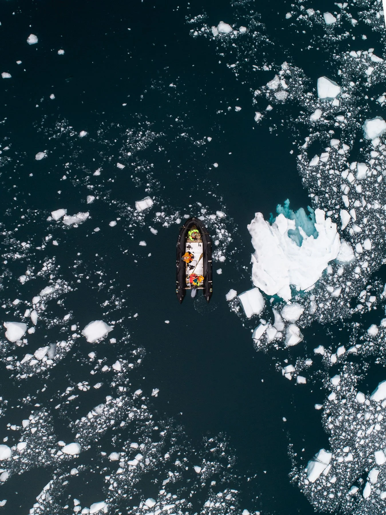 The Arctic Explorer's Guide to the Arctic Circle — Arctic Expeditions
