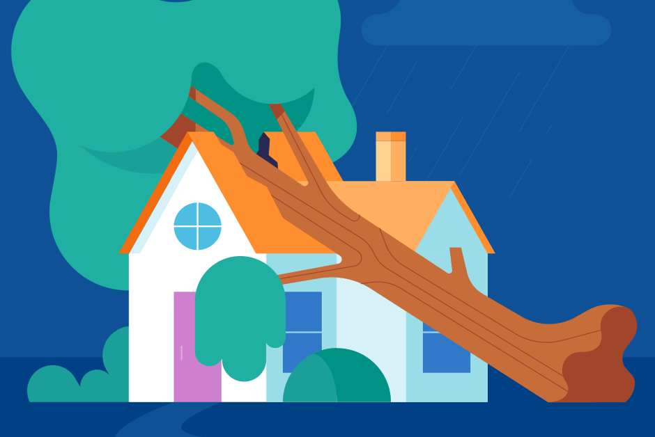 Homeowners Bermudx Insurance