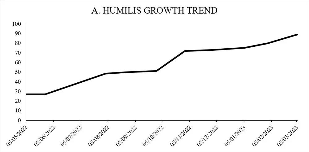 Coral Micro-Fragmentation Report — Save The Beach Maldives