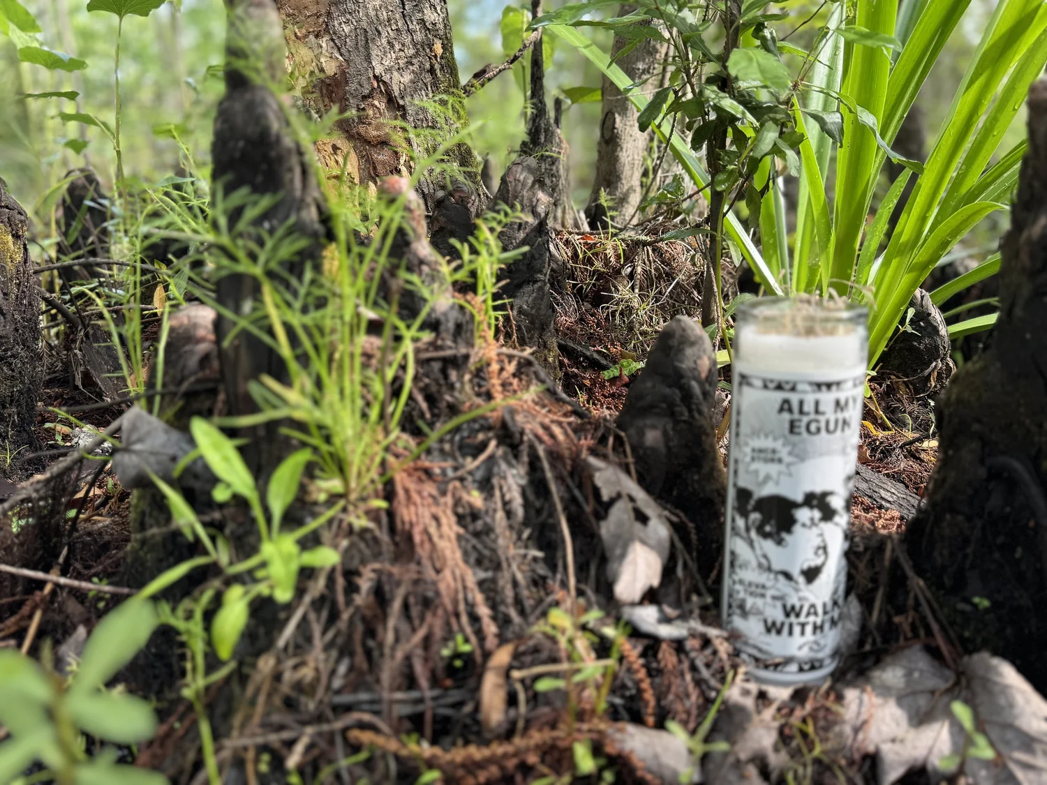 Store — BEAUCOUP HOODOO