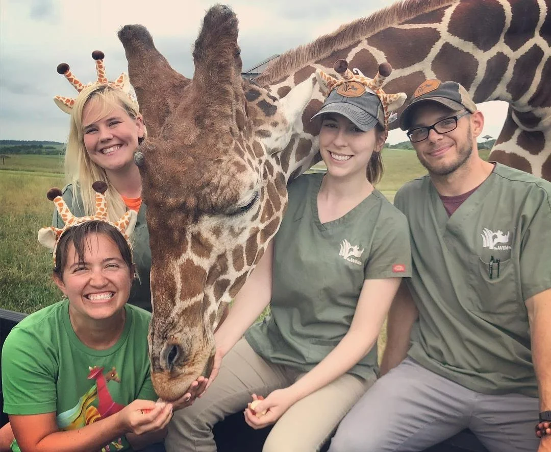 About — Wildkin Veterinary Services