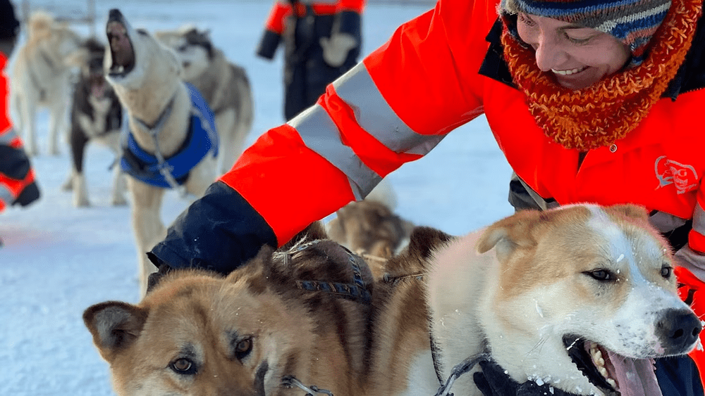 Dog Sledding in Iceland Near Reykjavik — Let's Go To Iceland