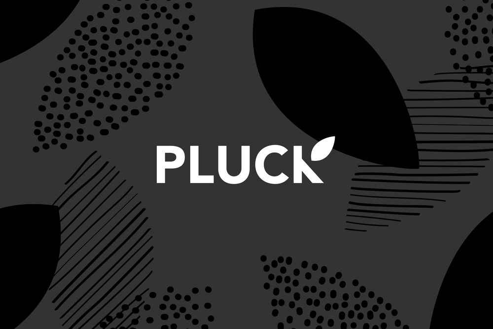 Pluck Tea: Branding & Graphic Design — Sali Tabacchi