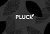 Pluck Tea: Branding & Graphic Design — Sali Tabacchi