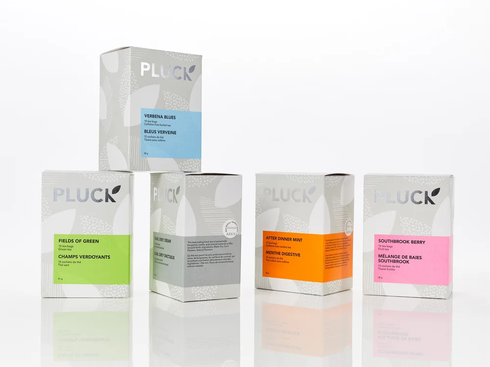 Pluck Tea: Branding & Graphic Design — Sali Tabacchi