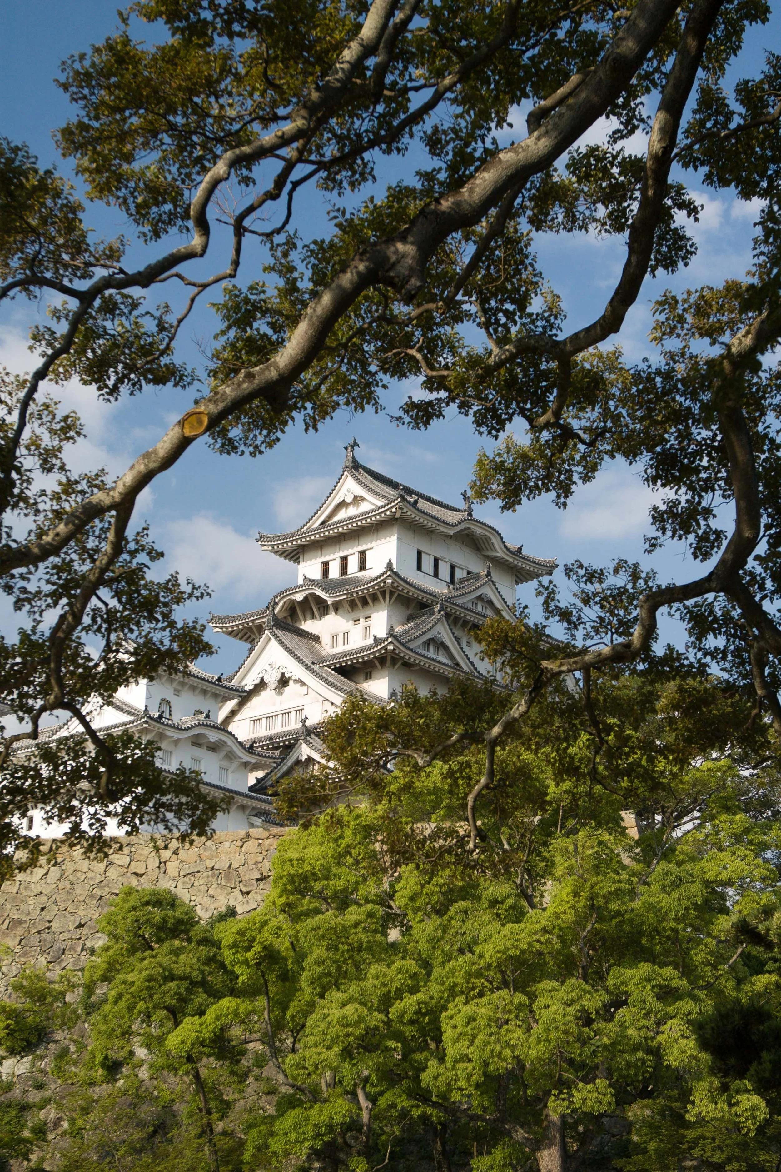 JAPAN — ALAN MAPLES Photography