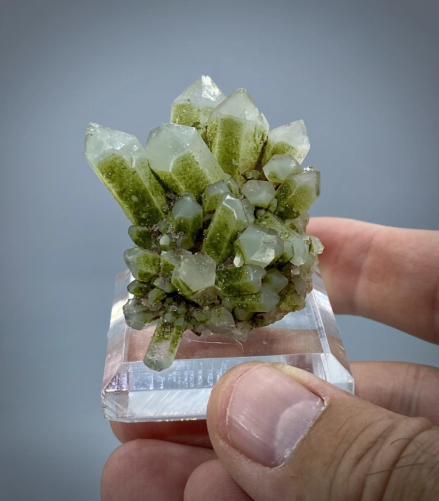 JB Gems and Minerals - Prase Quartz & Tremolite, Greece