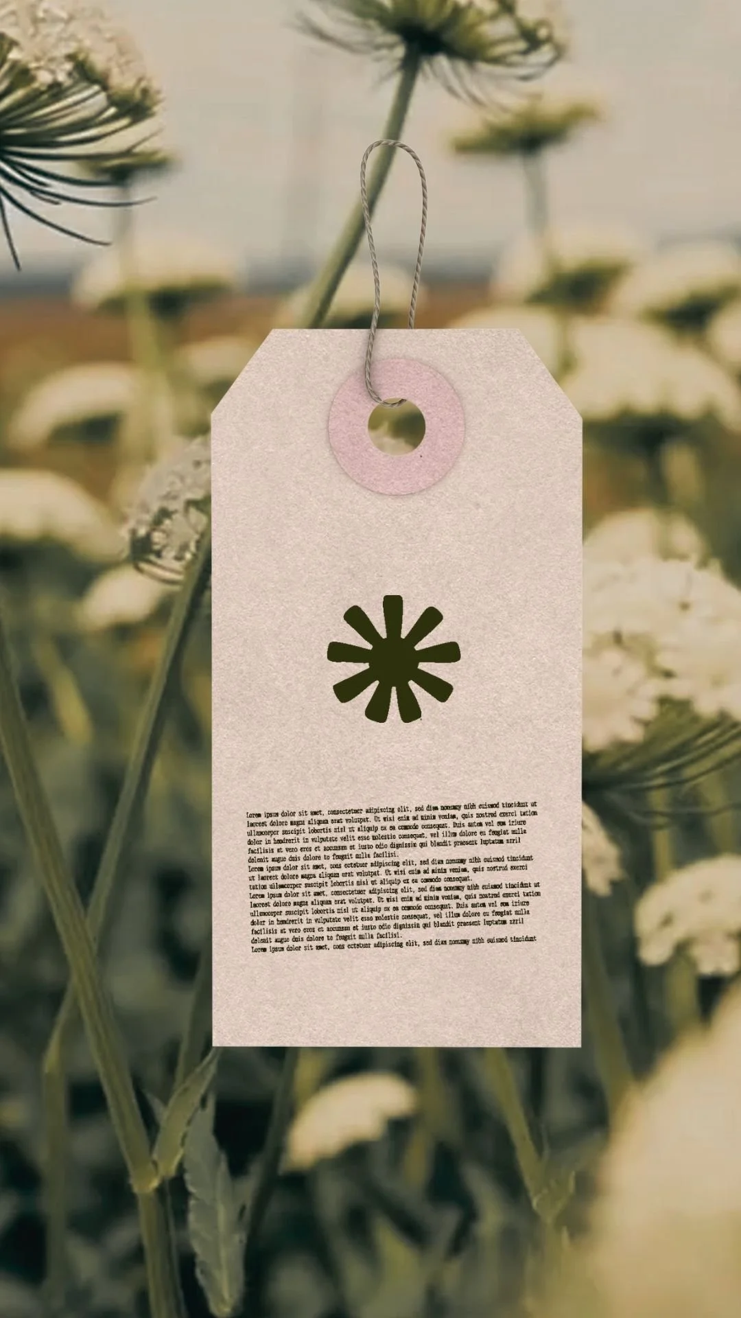 The Metamorph Microbrand Identity — Brand and Web Design Studio Dublin ...