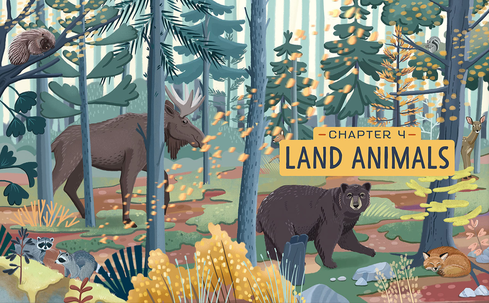 ASIA ORLANDO - Visual Artist & Illustrator — The Wild World Handbook ...