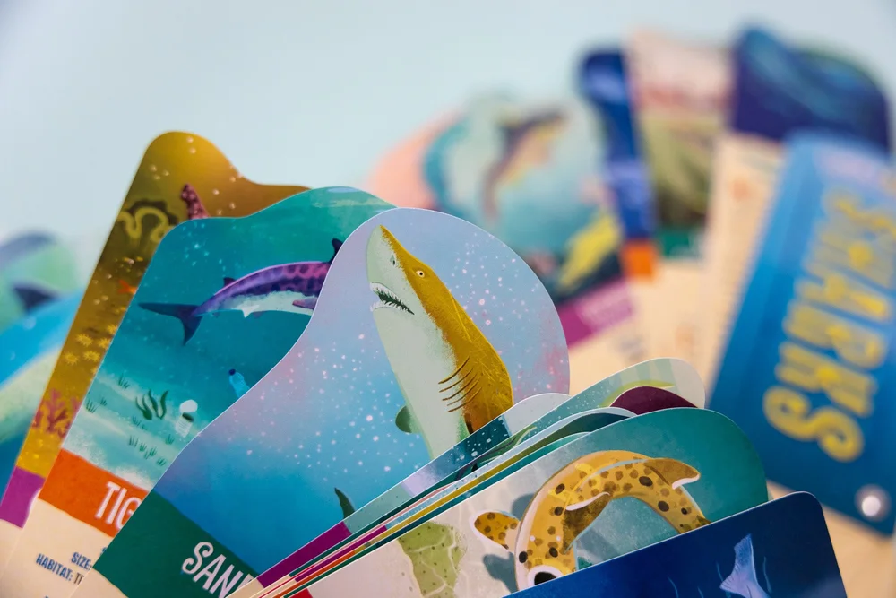 ASIA ORLANDO - Visual Artist & Illustrator — Fandex Kids Nature ...