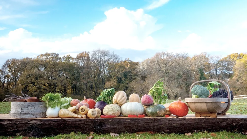 Market Garden — Nonnington Farm