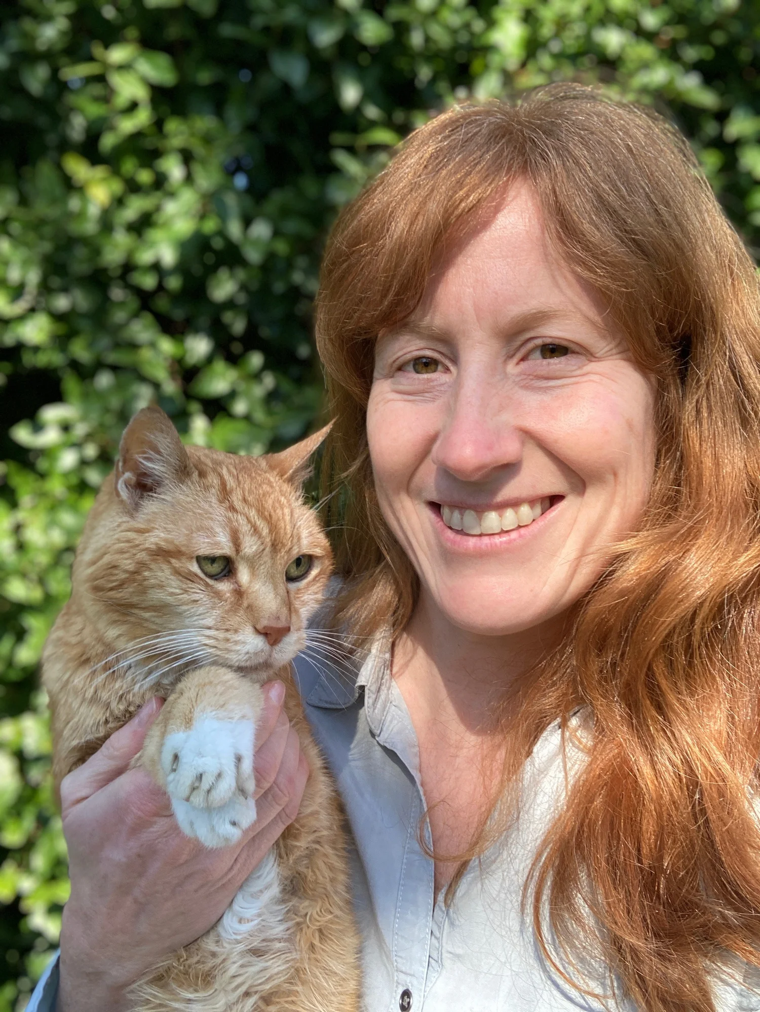 About — Sadie Veterinary Urgent Care | Portland, OR
